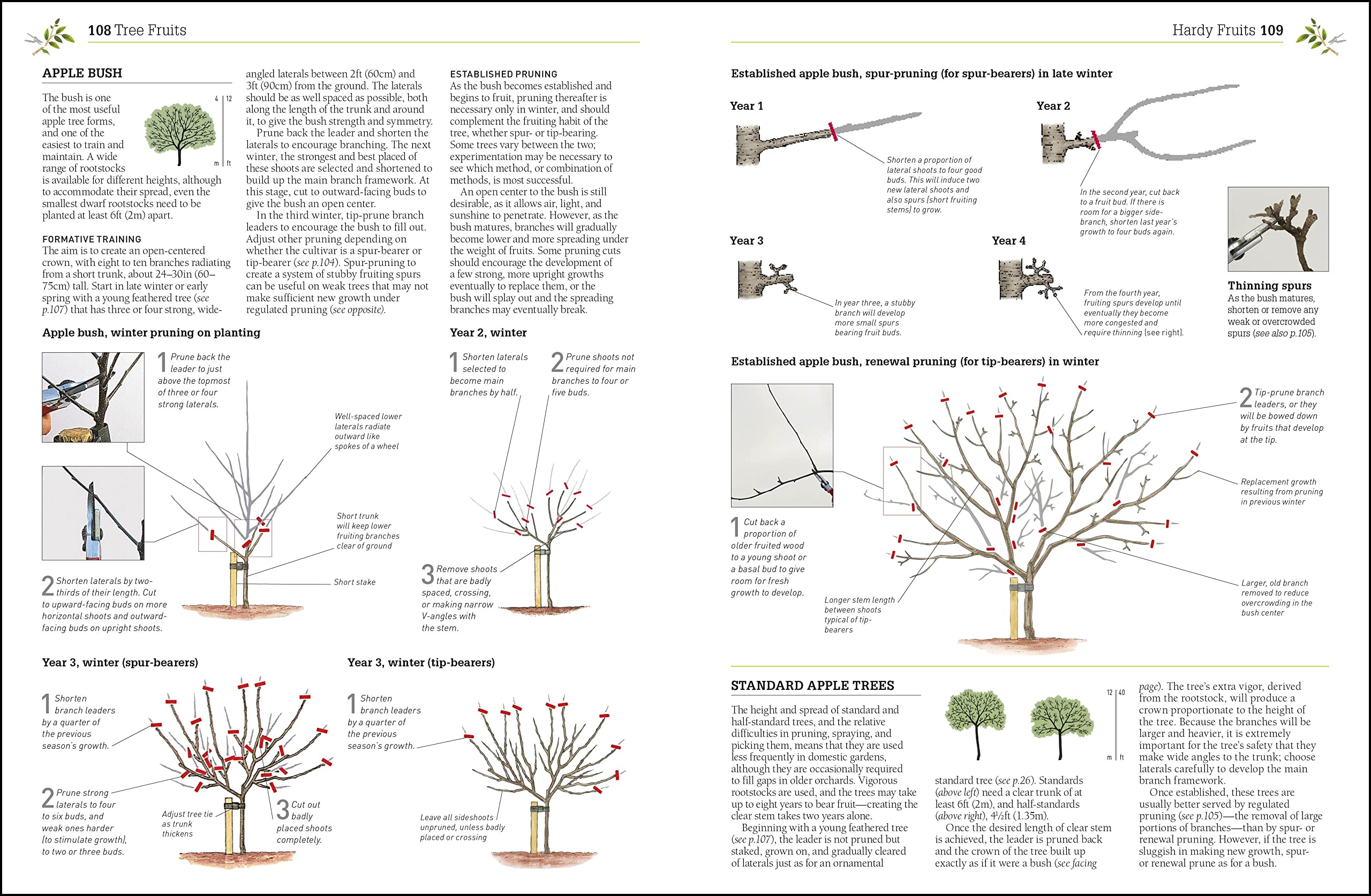 Pruning and Training, Revised New Edition: What, When, and How to Prune