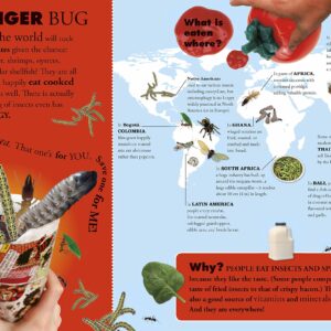 Everything You Need to Know About Bugs