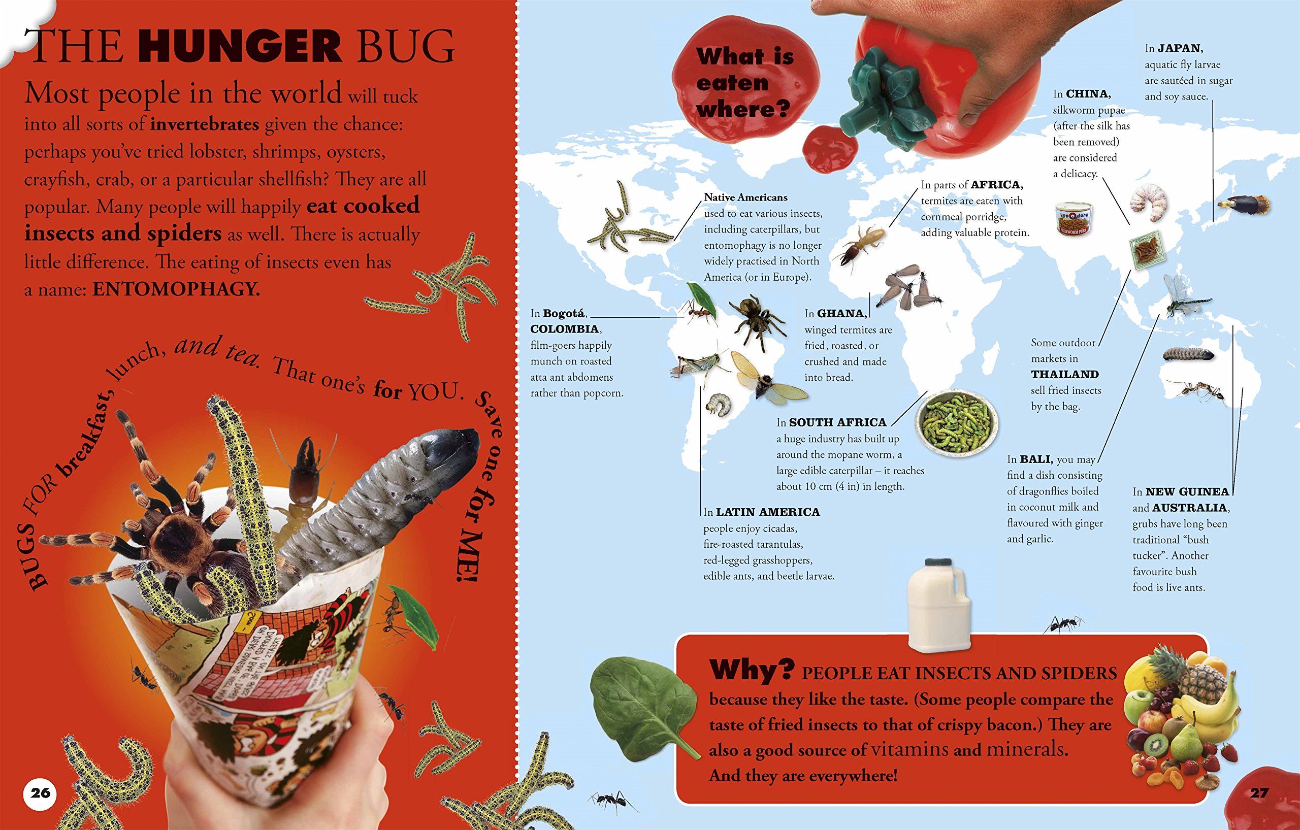 Everything You Need to Know About Bugs