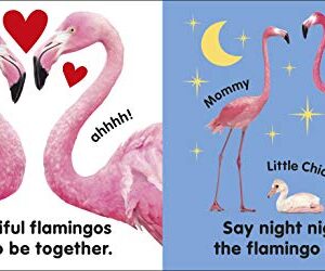 Baby Touch and Feel Flamingo