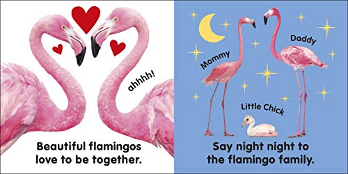 Baby Touch and Feel Flamingo