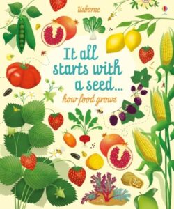 it all starts with a seed... how food grows