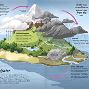 Life Cycles: Everything from Start to Finish (DK Life Cycles)