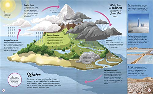 Life Cycles: Everything from Start to Finish (DK Life Cycles)