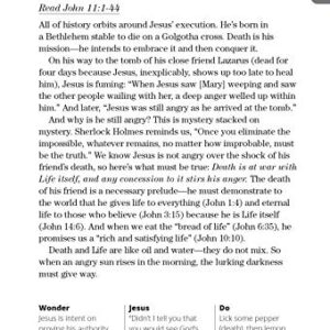 Jesus-Centered Daily: See. Hear. Touch. Smell. Taste.