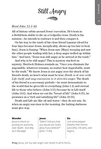 Jesus-Centered Daily: See. Hear. Touch. Smell. Taste.