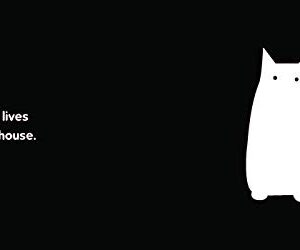 Black Cat & White Cat: A High Contrast Sensory Board Book About Opposites For Newborns and Babies