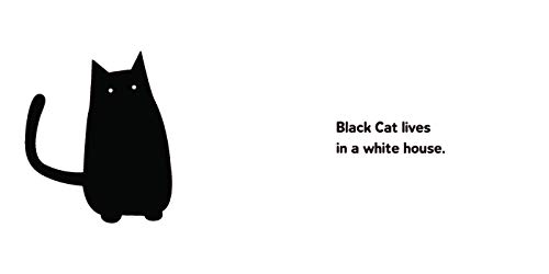 Black Cat & White Cat: A High Contrast Sensory Board Book About Opposites For Newborns and Babies