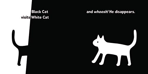 Black Cat & White Cat: A High Contrast Sensory Board Book About Opposites For Newborns and Babies