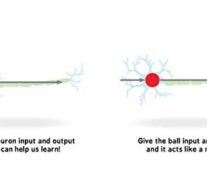 Neural Networks for Babies: Teach Babies and Toddlers about Artificial Intelligence and the Brain from the #1 Science Author for Kids (Science Gifts for Little Ones) (Baby University)