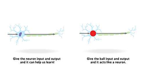 Neural Networks for Babies: Teach Babies and Toddlers about Artificial Intelligence and the Brain from the #1 Science Author for Kids (Science Gifts for Little Ones) (Baby University)