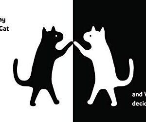 Black Cat & White Cat: A High Contrast Sensory Board Book About Opposites For Newborns and Babies