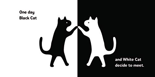 Black Cat & White Cat: A High Contrast Sensory Board Book About Opposites For Newborns and Babies