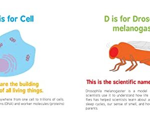 ABCs of Biology: An ABC Board Book of First Biology Words from the #1 Science Author for Kids (STEM and Science Gifts for Kids) (Baby University)