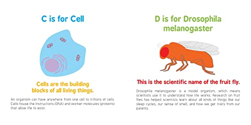 ABCs of Biology: An ABC Board Book of First Biology Words from the #1 Science Author for Kids (STEM and Science Gifts for Kids) (Baby University)