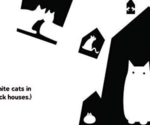 Black Cat & White Cat: A High Contrast Sensory Board Book About Opposites For Newborns and Babies