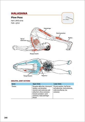 Yoga Anatomy