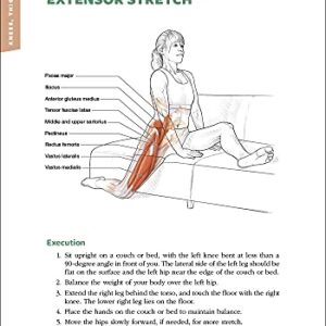 Stretching Anatomy