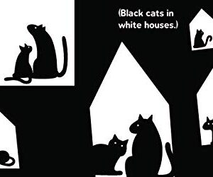 Black Cat & White Cat: A High Contrast Sensory Board Book About Opposites For Newborns and Babies