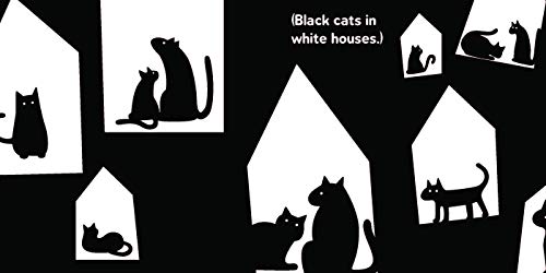 Black Cat & White Cat: A High Contrast Sensory Board Book About Opposites For Newborns and Babies