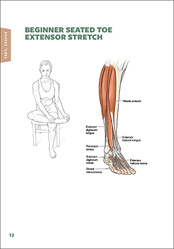 Stretching Anatomy