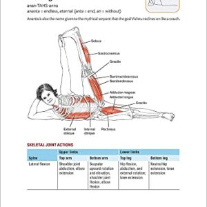 Yoga Anatomy