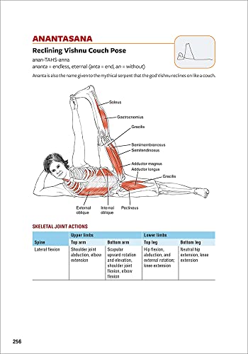 Yoga Anatomy