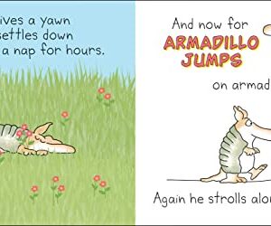 But Not the Armadillo