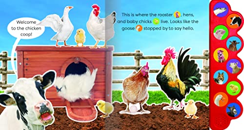 On the Farm Sound Book-Hear 10 Farm Animal Sounds! (Flowerpot Press 10 Button Sound Books)