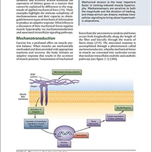 Science and Development of Muscle Hypertrophy