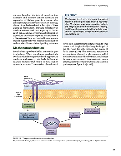 Science and Development of Muscle Hypertrophy