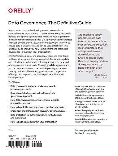 Data Governance: The Definitive Guide: People, Processes, and Tools to Operationalize Data Trustworthiness