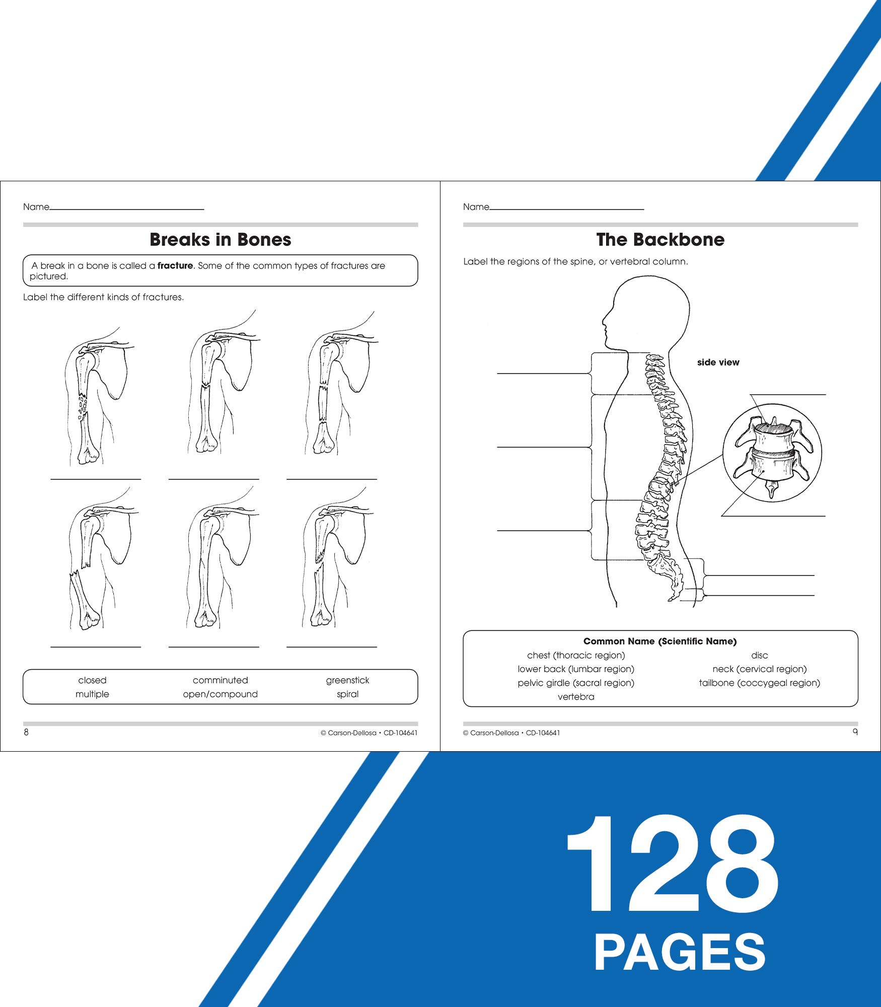 Carson Dellosa The 100+ Series: Human Body Workbook―Grades 5-8 Science Book, Human Anatomy, Bones, Muscles, Organs, the Nervous System, Health and Nutrition (128 pgs) (Volume 13)