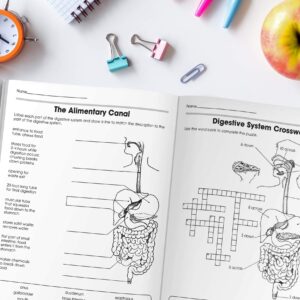 Carson Dellosa The 100+ Series: Human Body Workbook―Grades 5-8 Science Book, Human Anatomy, Bones, Muscles, Organs, the Nervous System, Health and Nutrition (128 pgs) (Volume 13)