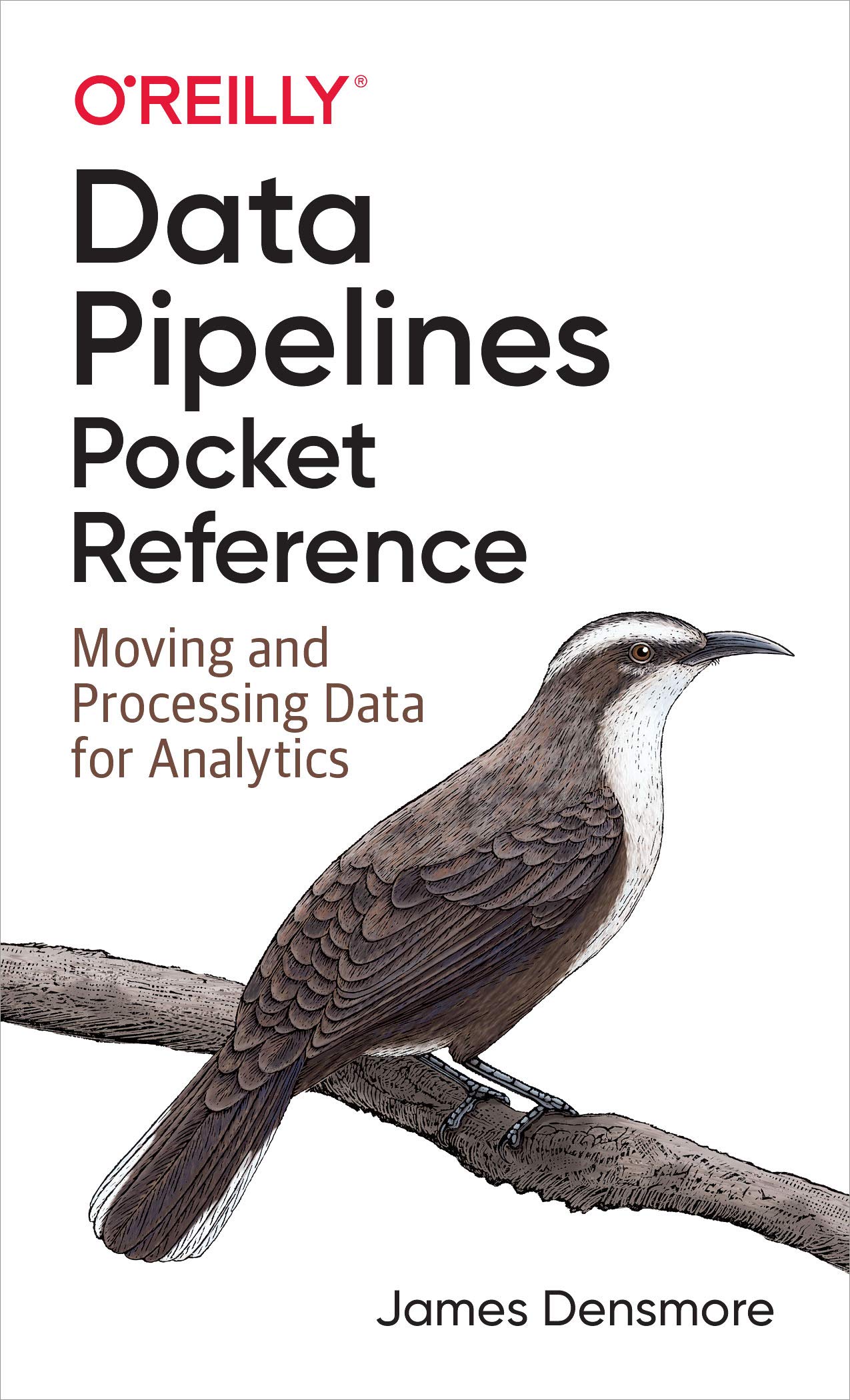 Data Pipelines Pocket Reference: Moving and Processing Data for Analytics