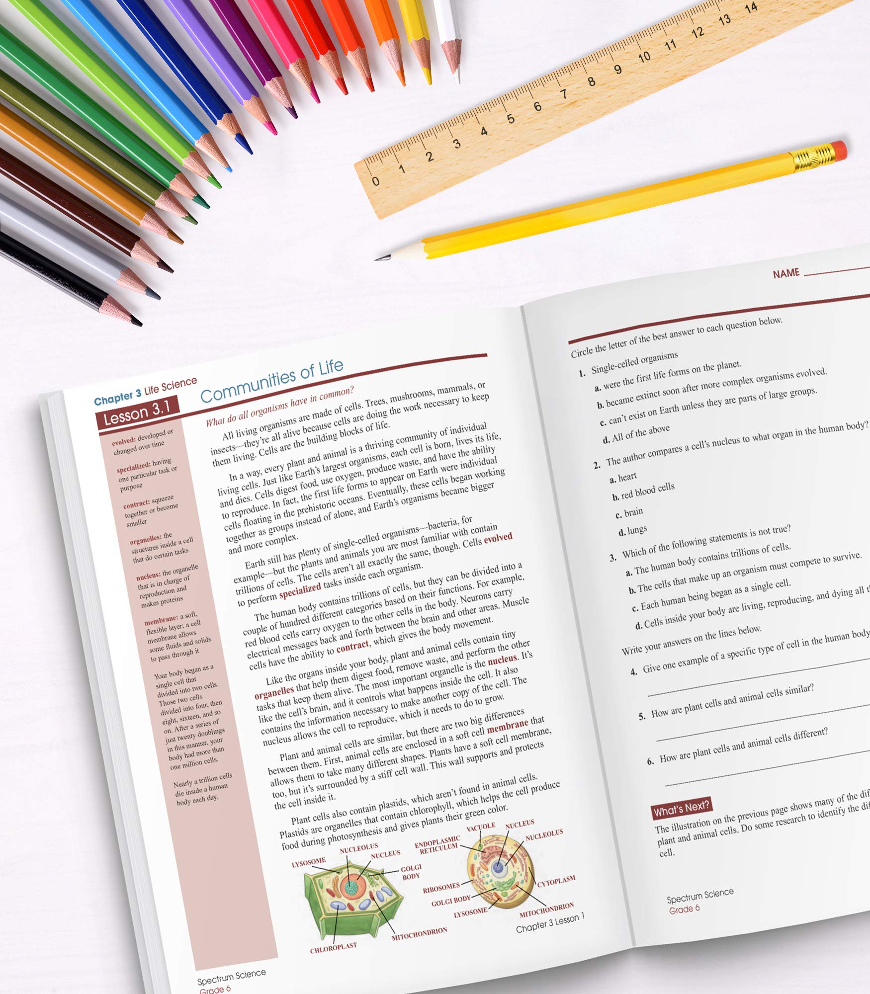 Spectrum 6th Grade Science Workbook, Ages 11 to 12, Grade 6 Science Workbooks, Natural, Earth, and Life Science, Science Book With Research Activities - 176 Pages