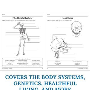 Carson Dellosa The 100+ Series: Human Body Workbook―Grades 5-8 Science Book, Human Anatomy, Bones, Muscles, Organs, the Nervous System, Health and Nutrition (128 pgs) (Volume 13)