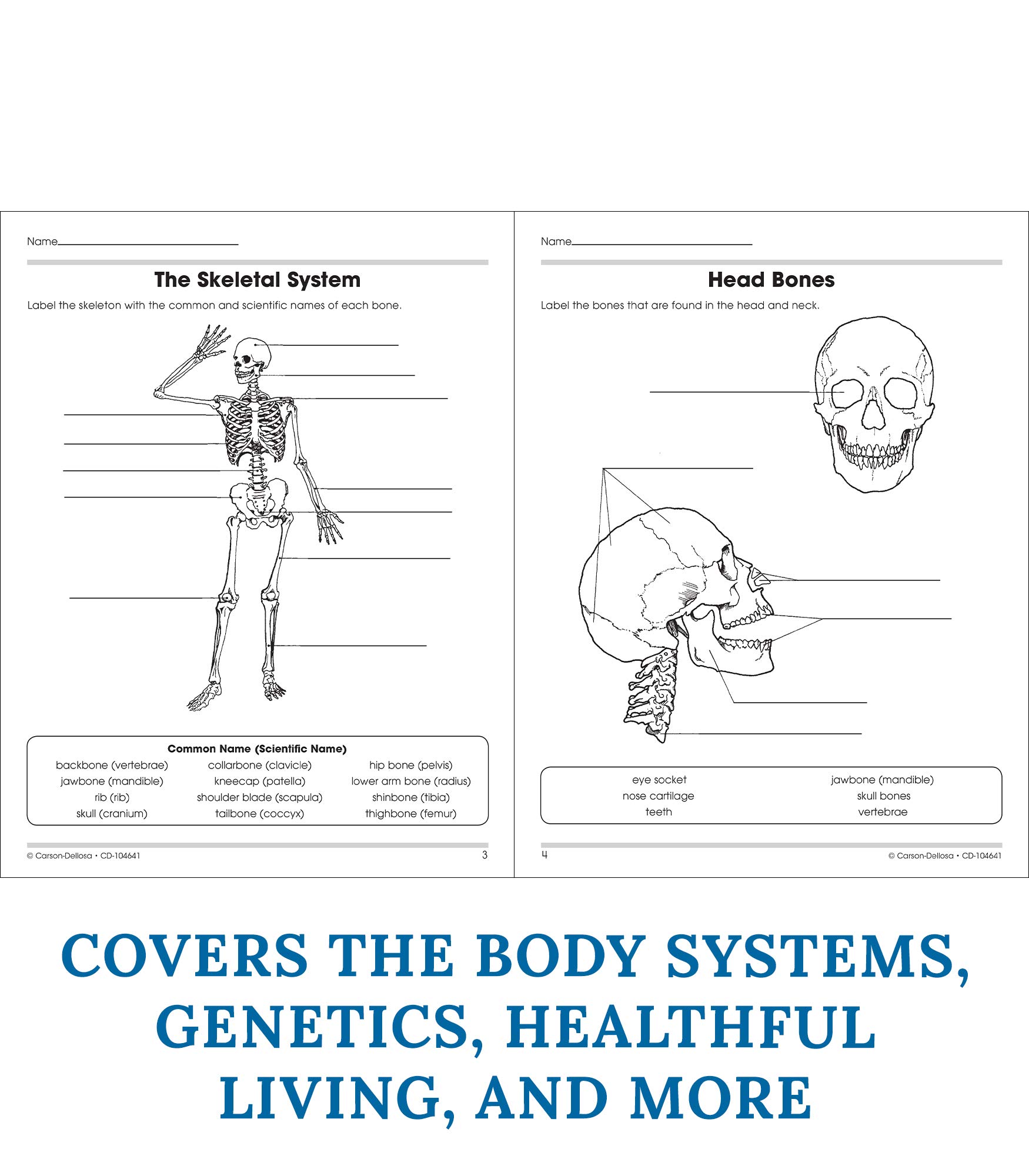 Carson Dellosa The 100+ Series: Human Body Workbook―Grades 5-8 Science Book, Human Anatomy, Bones, Muscles, Organs, the Nervous System, Health and Nutrition (128 pgs) (Volume 13)