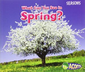 what can you see in spring? (seasons: acorn)