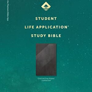 NLT Student Life Application Study Bible, Filament Enabled (LeatherLike, Charcoal Gray Striped, Red Letter)