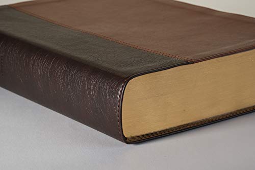 Every Man's Bible: New Living Translation, Large Print, TuTone (LeatherLike, Brown/Tan) – Study Bible for Men with Study Notes, Book Introductions, and 44 Charts