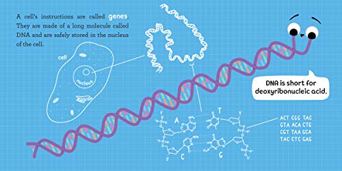 Baby Biochemist: DNA: Discover the Amazing Science Behind Your Body's Molecular Instructions! (Human Body Books, Science Gifts, Medical Books for Kids) (Baby University)