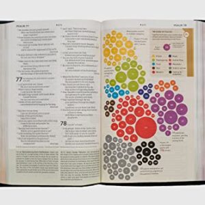 NLT Student Life Application Study Bible, Filament Enabled (LeatherLike, Charcoal Gray Striped, Red Letter)