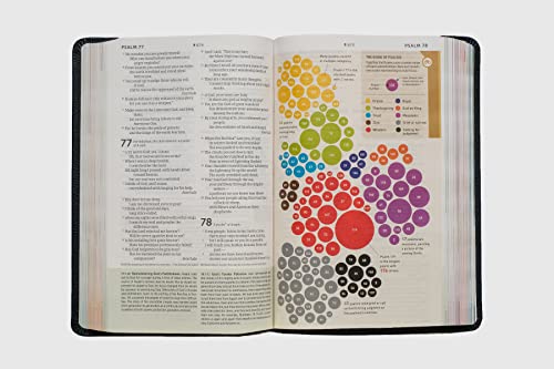 NLT Student Life Application Study Bible, Filament Enabled (LeatherLike, Charcoal Gray Striped, Red Letter)