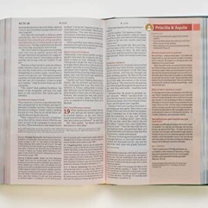 NLT Student Life Application Study Bible, Filament Enabled (Hardcover, Red Letter)