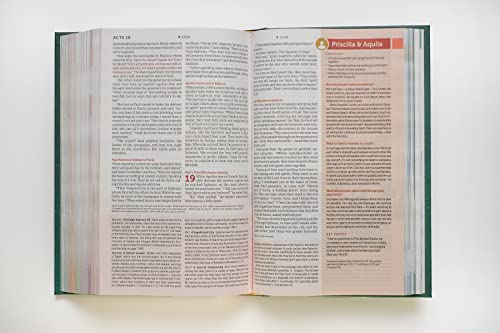 NLT Student Life Application Study Bible, Filament Enabled (Hardcover, Red Letter)