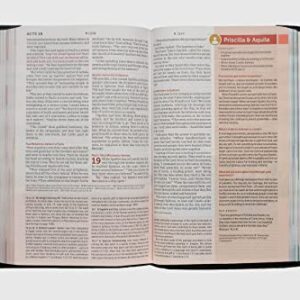 NLT Student Life Application Study Bible, Filament Enabled (LeatherLike, Charcoal Gray Striped, Red Letter)