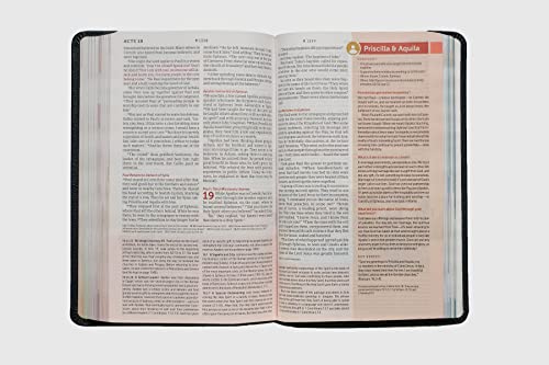 NLT Student Life Application Study Bible, Filament Enabled (LeatherLike, Charcoal Gray Striped, Red Letter)