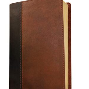 Every Man's Bible: New Living Translation, Large Print, TuTone (LeatherLike, Brown/Tan) – Study Bible for Men with Study Notes, Book Introductions, and 44 Charts