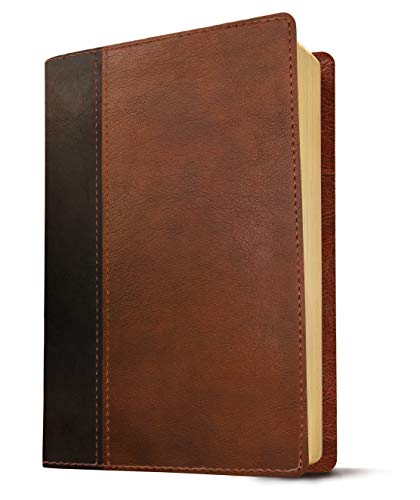 Every Man's Bible: New Living Translation, Large Print, TuTone (LeatherLike, Brown/Tan) – Study Bible for Men with Study Notes, Book Introductions, and 44 Charts